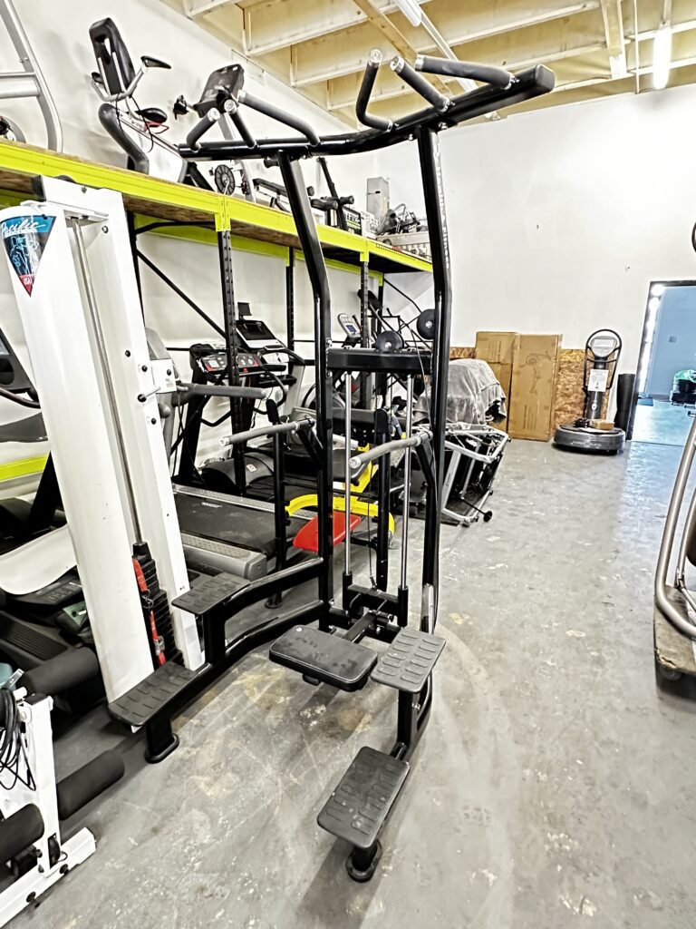 Commercial Assisted Dip / Pull Up w/Digital Rep Counter - DEMO ...